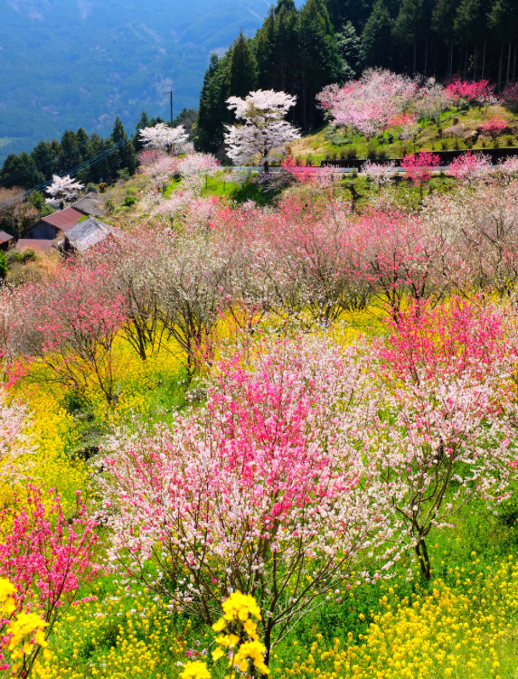 2024SP CSC-236-WB2 | BHCC Moodle