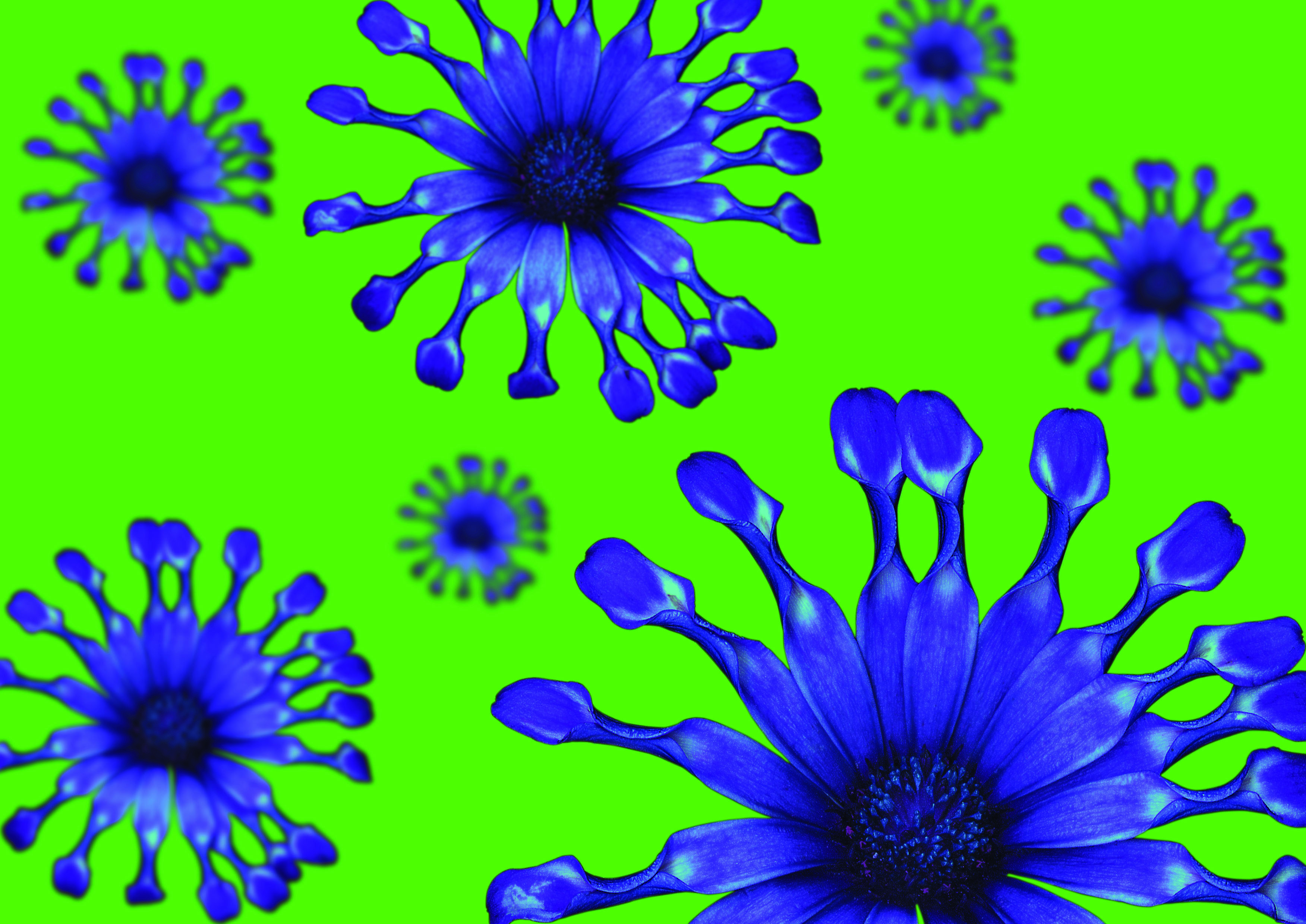 2025FA VMA-106-03 | BHCC Moodle